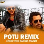 Potu Remix (Studio) - Song Download from Potu Remix @ JioSaavn