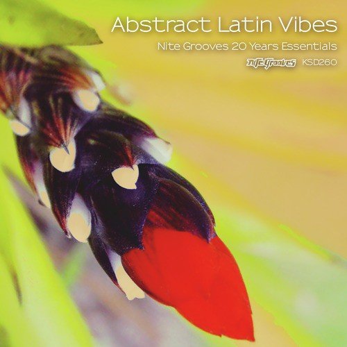 Consecration (feat. Hanna Haïs) - Song Download from Abstract Latin ...