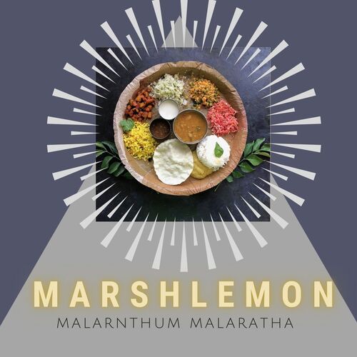 Malarnthum Malaratha - Song Download from Malarnthum Malaratha @ JioSaavn