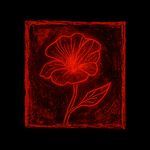 Phool Ki Tarha - Song Download from Phool ki tarha @ JioSaavn