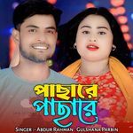 Pasare Pasare - Song Download from Pasare Pasare @ JioSaavn