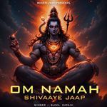 Om Namah Shivaye Jaap - Song Download from Om Namah Shivaye Jaap @ JioSaavn