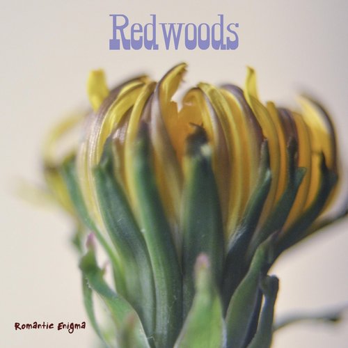 Ramdhenu - Song Download from Redwoods @ JioSaavn