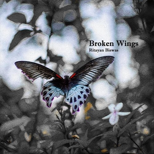 Broken Wings Songs Download - Free Online Songs @ JioSaavn