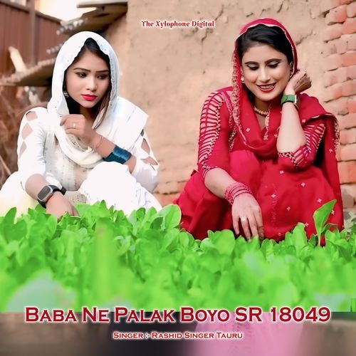 Baba Ne Palak Boyo SR 18049 - Song Download from Baba Ne Palak Boyo SR ...