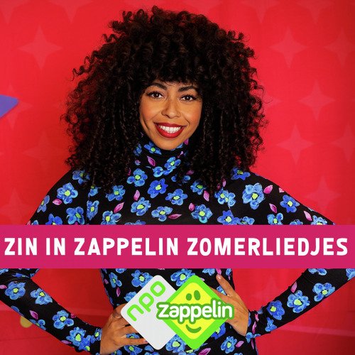 Zin In Zappelin Zomerliedjes Songs Download - Free Online Songs @ JioSaavn