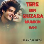 Tere Bin Guzara Mumkin Nahin - Song Download from Tere Bin Guzara ...