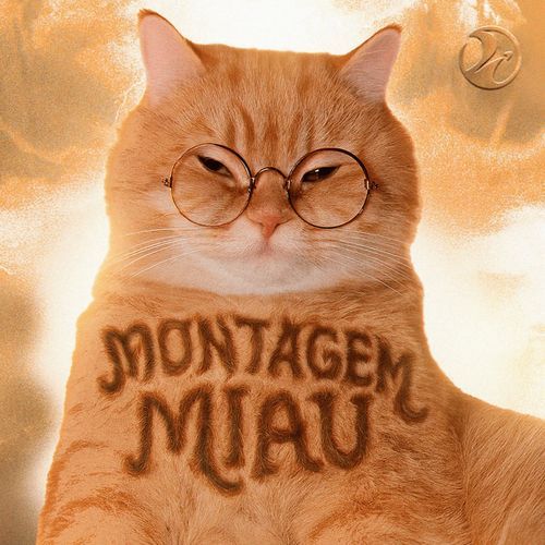 Montagem Miau Song Download From Montagem Miau Jiosaavn