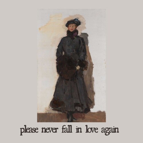 Please Never Fall in Love Again