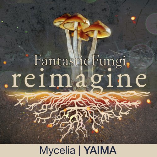 Mycelia (Fantastic Fungi: Reimagine) Songs Download - Free Online Songs ...