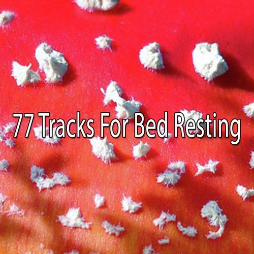 Calm Waters - Song Download from 77 Tracks For Bed Resting @ JioSaavn