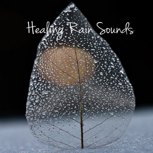 Skyfall Serenade - Song Download from Healing Rain Sounds @ JioSaavn