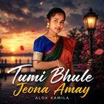 Tumi Bhule Jeona Amay - Song Download from Tumi Bhule Jeona Amay @ JioSaavn