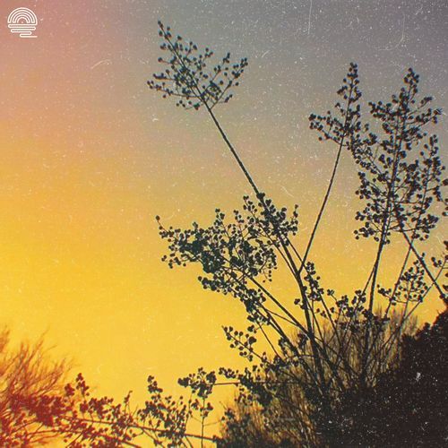 Up Till Dawn Songs Download - Free Online Songs @ JioSaavn