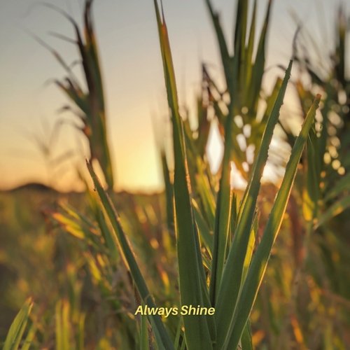 Always Shine (Lullaby) Lyrics - Andrea Jorge - Only on JioSaavn