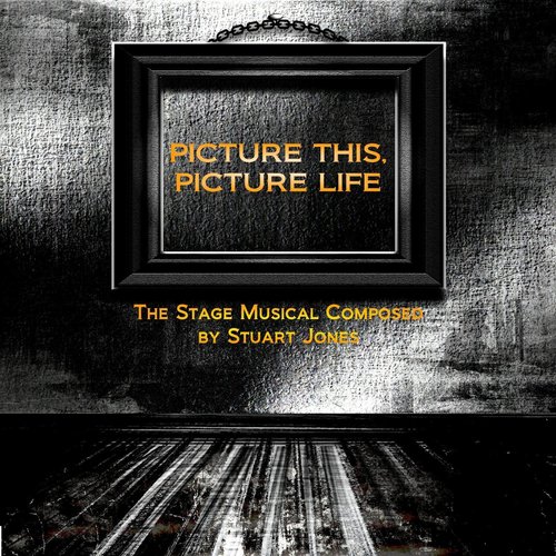 Picture This, Picture Life (Original Soundtrack) Songs Download - Free ...