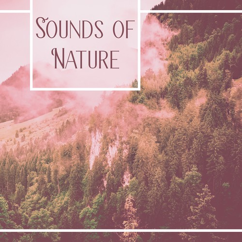 Water Sounds - Song Download from Sounds of Nature – Relaxing Music ...