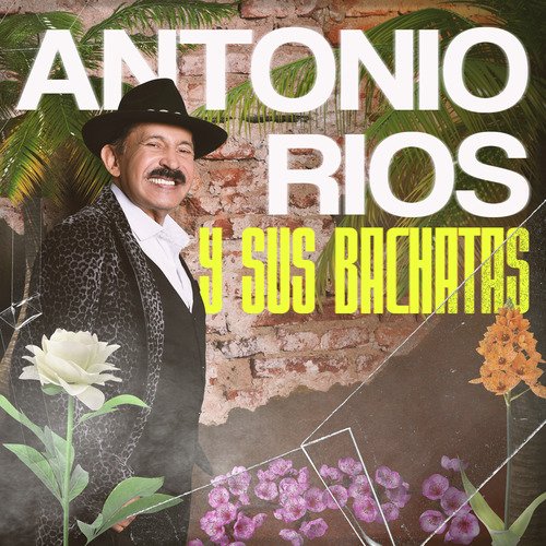 Antonio Rios Y Sus Bachatas Songs Download - Free Online Songs @ JioSaavn