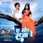 Aa Mor Raja Re - Song Download from Aa Mor Raja Re @ JioSaavn