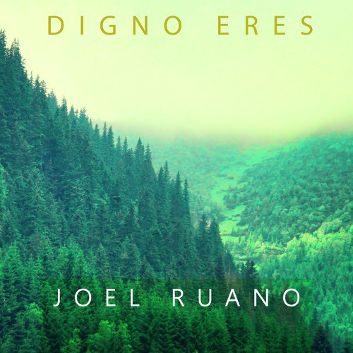 Lloró José Lyrics - Digno Eres - Only on JioSaavn