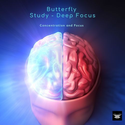 Study Wave - Song Download from Concentration and Focus @ JioSaavn