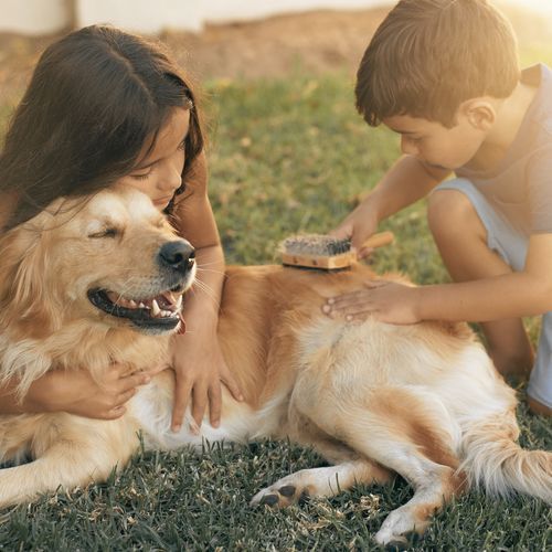 High - Song Download from Pampered Pooch @ JioSaavn