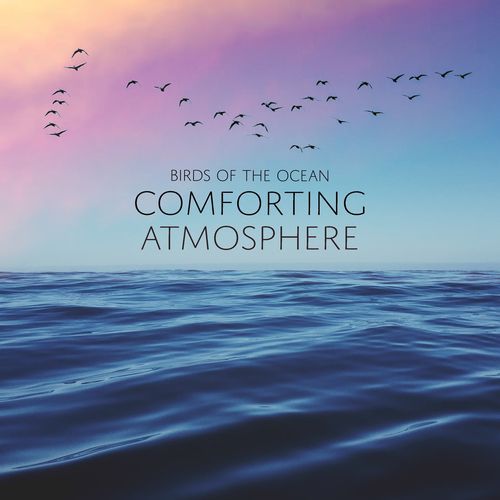 Meadow Sedate - Song Download from Comforting Atmosphere @ JioSaavn