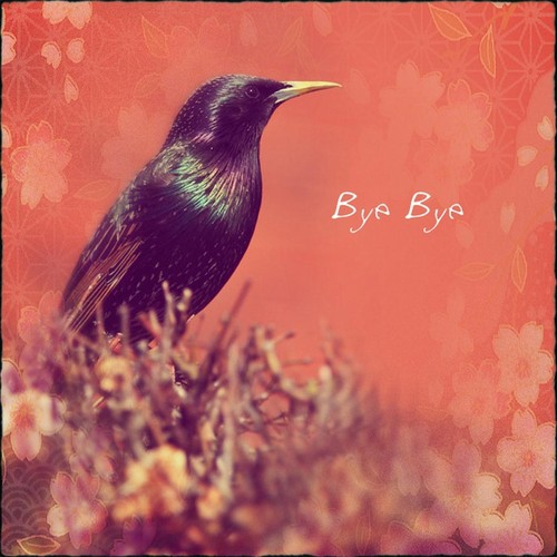 Bye Bye Songs Download - Free Online Songs @ JioSaavn