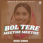 Bol Tere Meethe Meethe - Song Download from Bol Tere Meethe Meethe ...