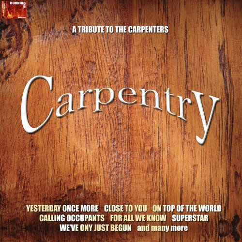 The Carpenters Top Of The World