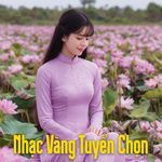 Tình Khúc Chiều Mưa - Song Download from Nhạc Vàng Tuyển Chọn Mới @ JioSaavn