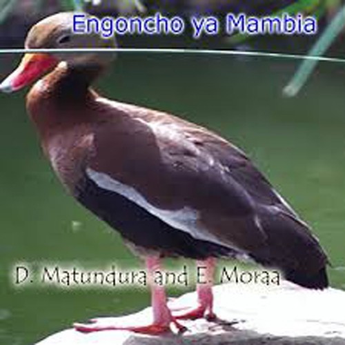Engoncho Ya Mambia - Song Download from Engoncho Ya Mambia @ JioSaavn