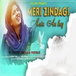 Meri Zindagi Main Aa Kay - Song Download from Meri Zindagi Main Aa Kay ...