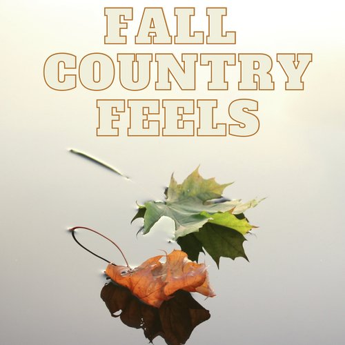 How Country Feels Album Cover