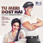 Tu Meri Dost Hain (Lofi Mix) - Song Download from Tu Meri Dost Hain ...