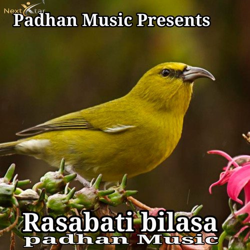 Rasabati Bilasa Songs Download - Free Online Songs @ JioSaavn