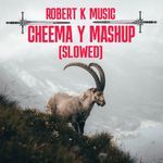 CHEEMA Y MASHUP (SLOWED) - Song Download from CHEEMA Y MASHUP (SLOWED ...