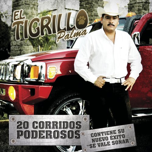 Cartel Sinaloense Lyrics - 20 Corridos Poderosos - Only on JioSaavn