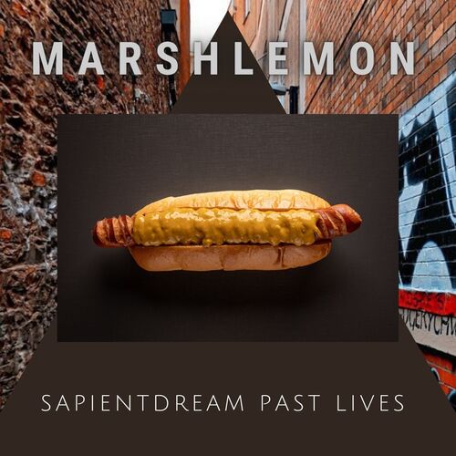 Sapientdream Past Lives - Song Download from Sapientdream Past Lives ...