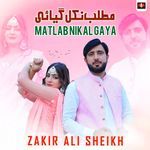 Matlab Nikal Gaya - Song Download from Matlab Nikal Gaya @ JioSaavn