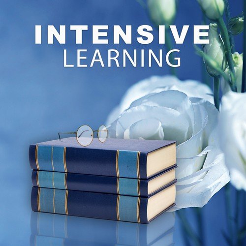 Intensive Learning – Classical Music To Study, Bach To Work, Effective ...