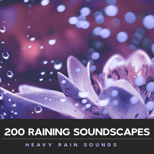 Tribal Rain Ambience - Song Download from 200 Raining Soundscapes ...