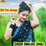 Dil Tut Javgo - Song Download from Dil Tut Javgo @ JioSaavn