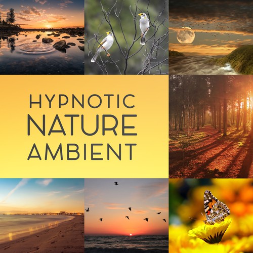 Deep Forest - Song Download from Hypnotic Nature Ambient: Soothing ...