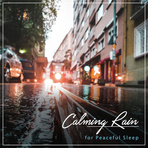 13 Calming Rain Tracks For Peaceful Night Sleep Songs Download Free