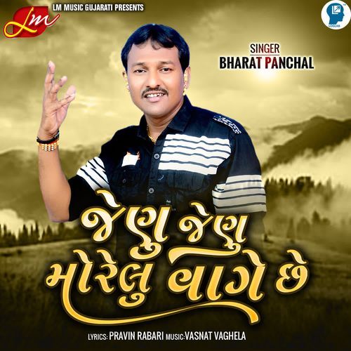 Jenu Jenu Merelu Vage Chhe - Song Download from Jenu Jenu Merelu Vage ...