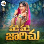 Vadi Vadi Jarichu - Song Download from Vadi Vadi Jarichu @ JioSaavn