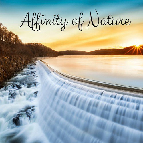 All I Need - Song Download from Affinity of Nature @ JioSaavn