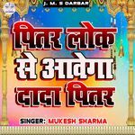 Pitar Lok Se Aavega Dada Pitar - Song Download from Pitar Lok Se Aavega ...