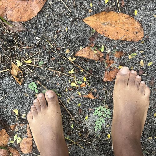 Rock Out Choski Songs Download - Free Online Songs @ JioSaavn